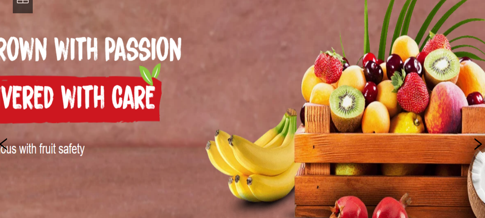 Divya Bairwa Portfolio